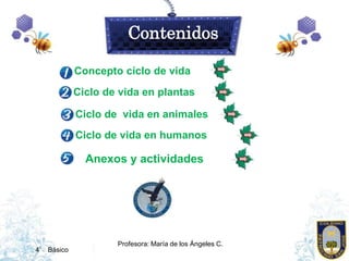 Los ciclos de vida. | PPSX