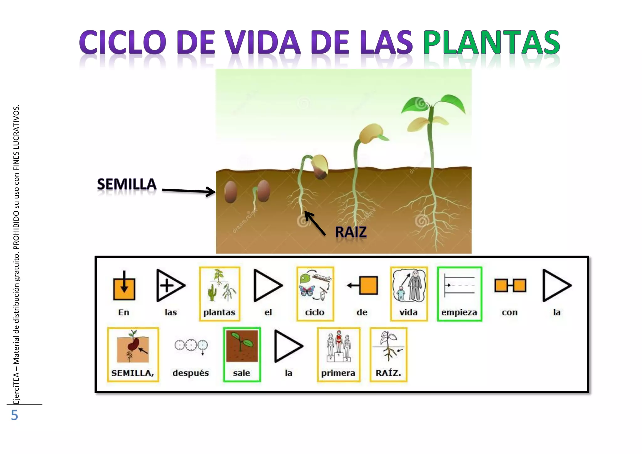 LOS CICLOS DE LA VIDA | PPT