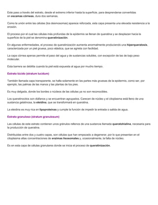 Los cinco estratos de la epidermis.pdf