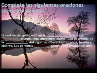 Los cinco sentidos | PPT