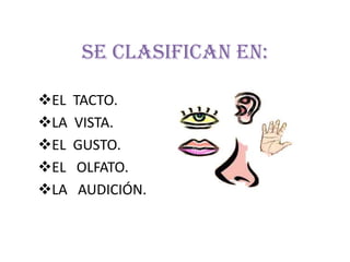 LOS CINCO SENTIDOS | PPTX