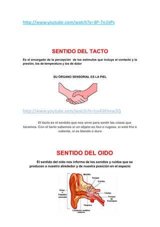 Los cinco sentidos | PDF