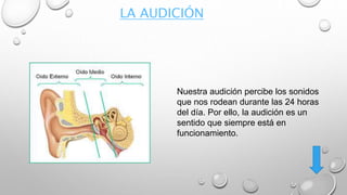 Los cinco sentidos | PPSX