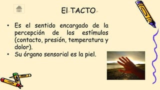 Los cinco sentidos actividades | PPTX