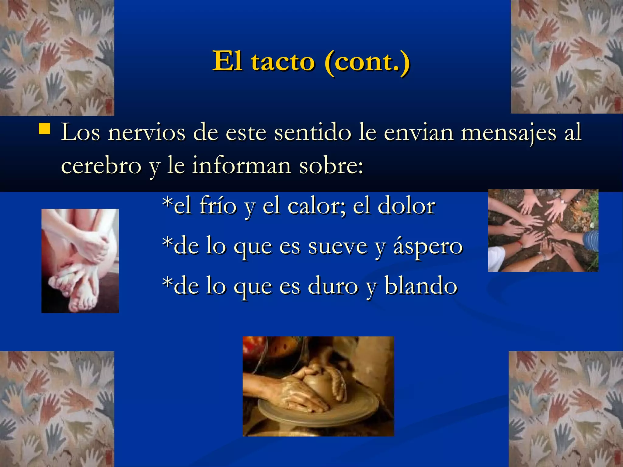 Los cinco sentidos centinelas de nuestro cuerpo | PPT