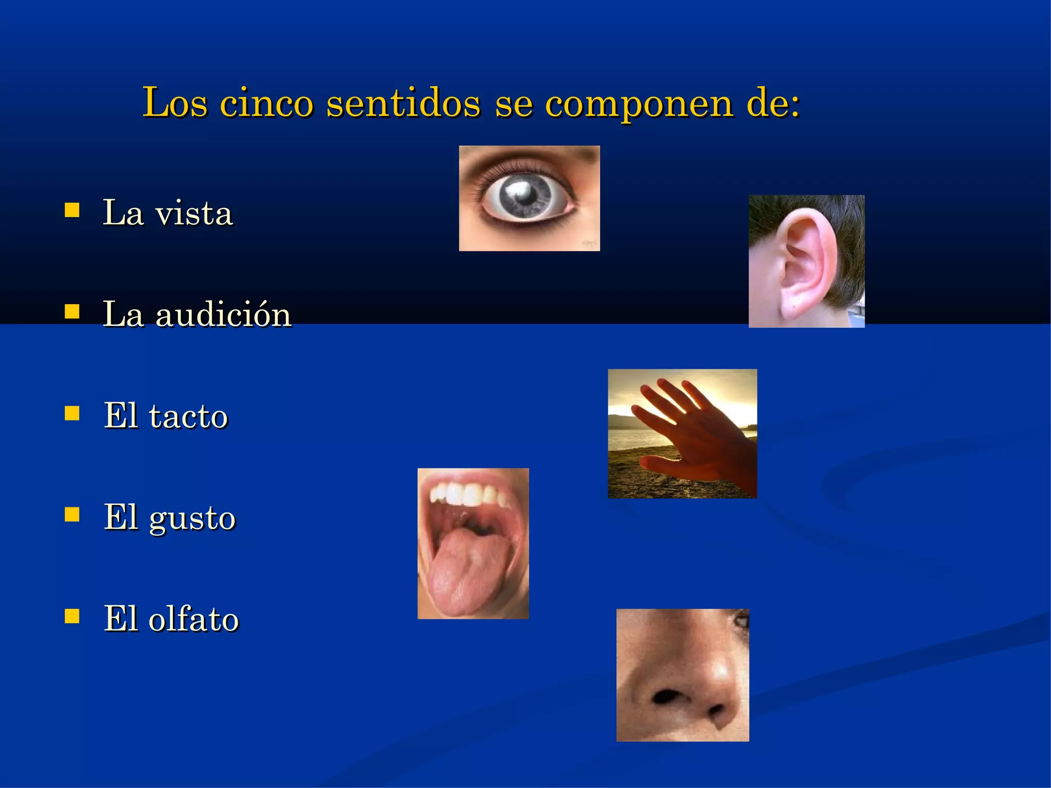 Los cinco sentidos centinelas de nuestro cuerpo | PPT