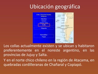 LOS COLLAS.pptx