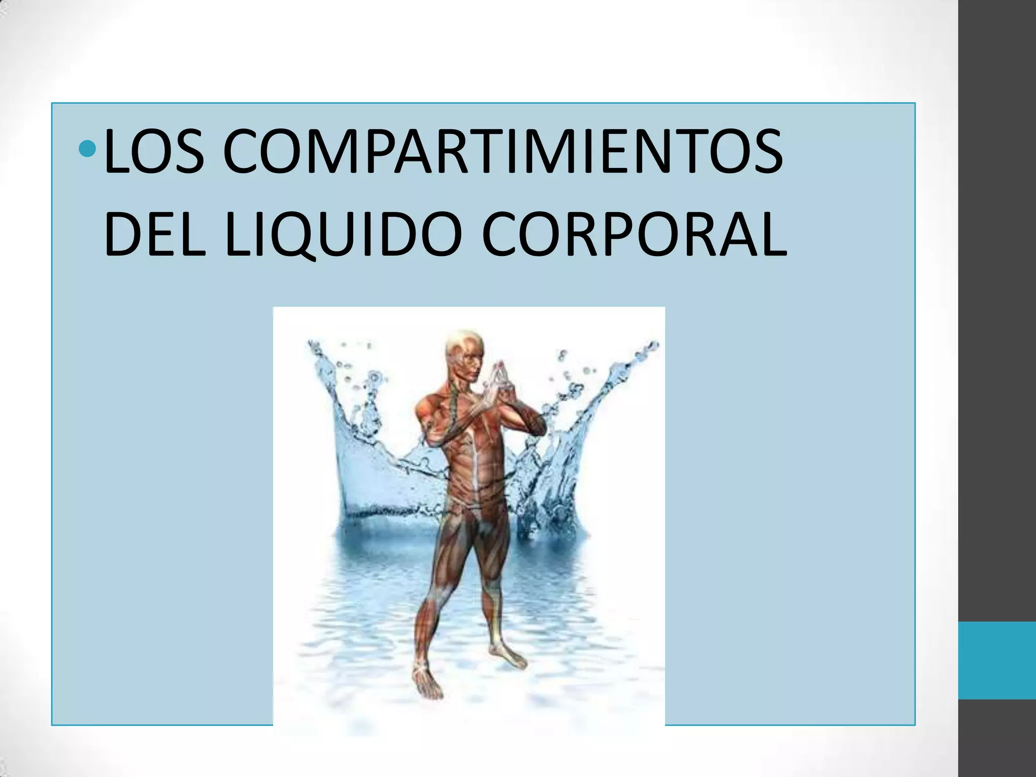 Los Compartimientos Del Liquido Corporal Pptx