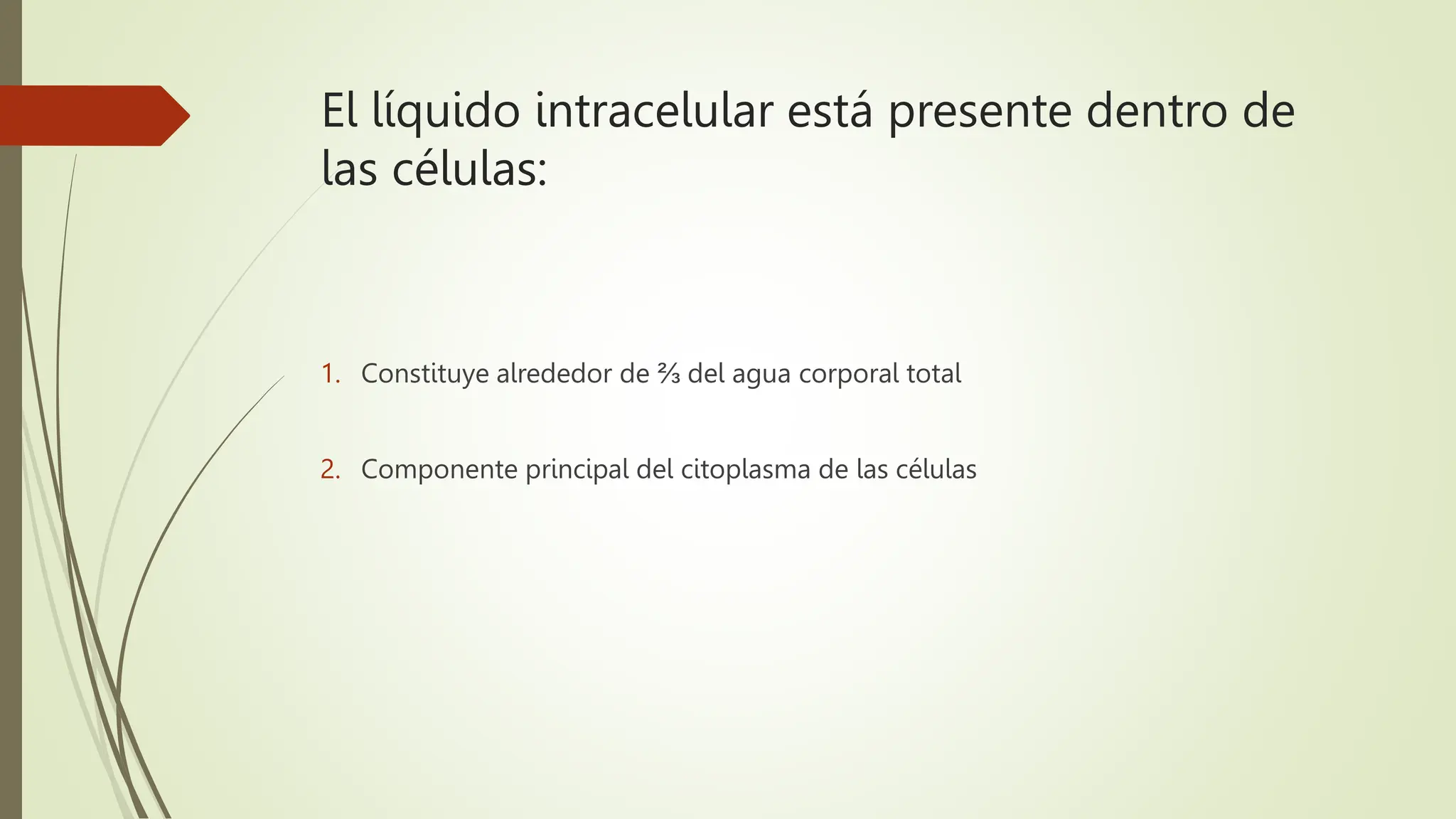 Los Compartimientos Del Líquido Corporal Pptx
