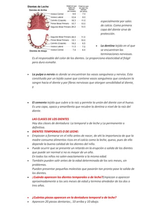 Los dientes | DOC