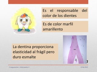 Los dientes y sus partes | PPTX
