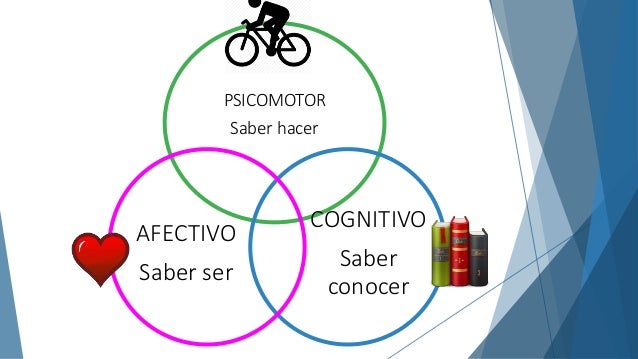 Los dominios del aprendizaje