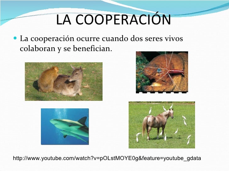 Los ecosistemas