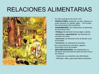 Los ecosistemas | PPT
