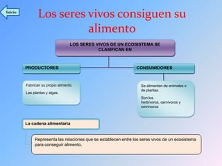 Los ecosistemas | PPTX | Geography | Science
