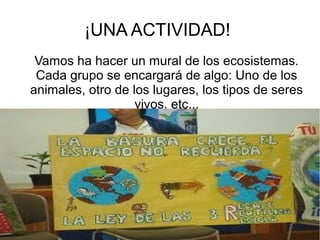 Los ecosistemas | ODP