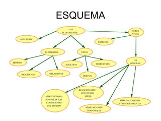 Los ecosistemas | PPT