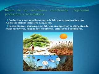 Los ecosistemas | PPTX | Geography | Science