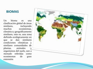 Los ecosistemas | PPT