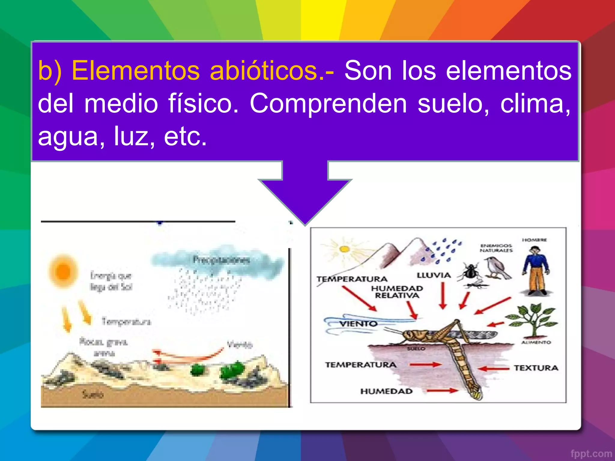 Los ecosistemas | PPT | Biological Sciences | Science