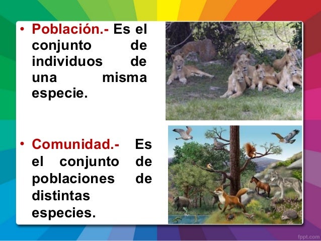 Los ecosistemas