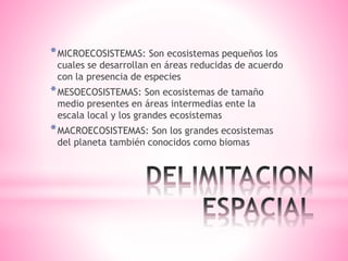 Los ecosistemas | PPT