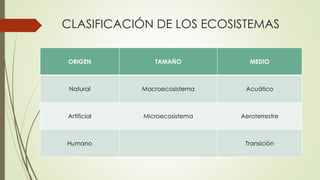 Los ecosistemas | PPSX