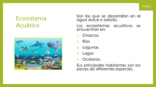 Los ecosistemas | PPT
