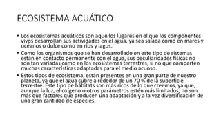 LOS ECOSISTEMAS precentacion power point | PPTX