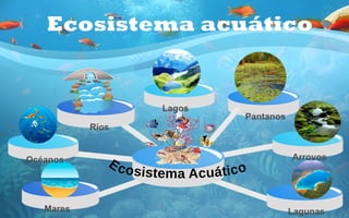 Los ecosistemas terrestres y acuaticos.pptx