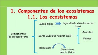 Los ecosistemas - Parte 1 | PPTX