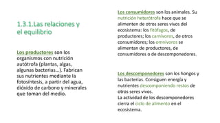 Los ecosistemas | PPTX