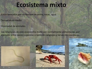 Los ecosistemas del mundo | PPSX
