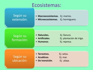 Los ecosistemas _majo | PPTX