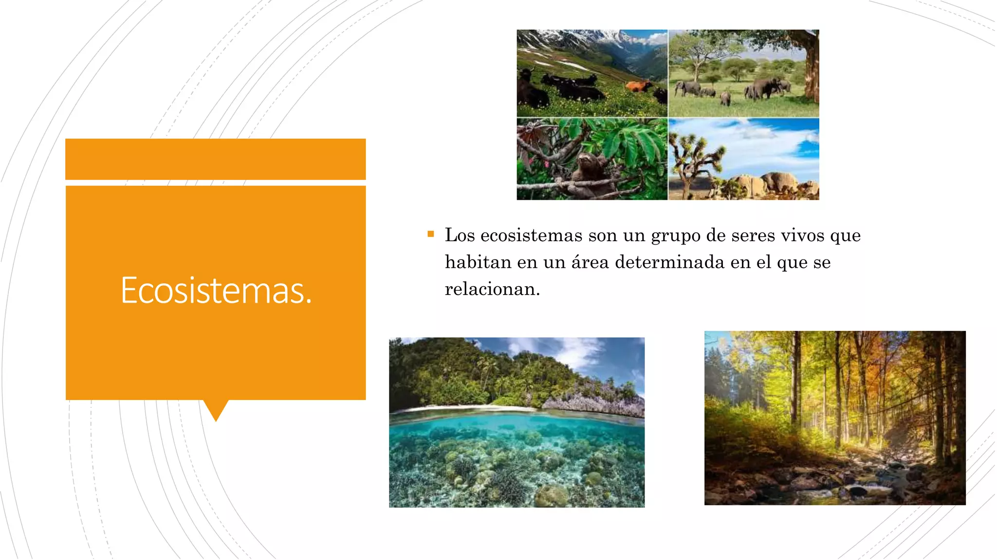 Los ecosistemas y su biodiversidad | PPTX