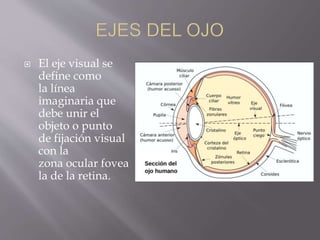 Los ejes del ojo.optomtria optslmica ecpov | PPTX
