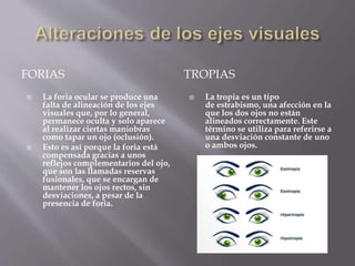 Los ejes del ojo.optomtria optslmica ecpov | PPTX