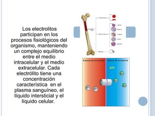 Los electrolitos en el organismo, importancia y alteraciones (1) | PPTX