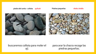 LOS ELEMENTOS DE LA NATURALEZA9999 2.pptx