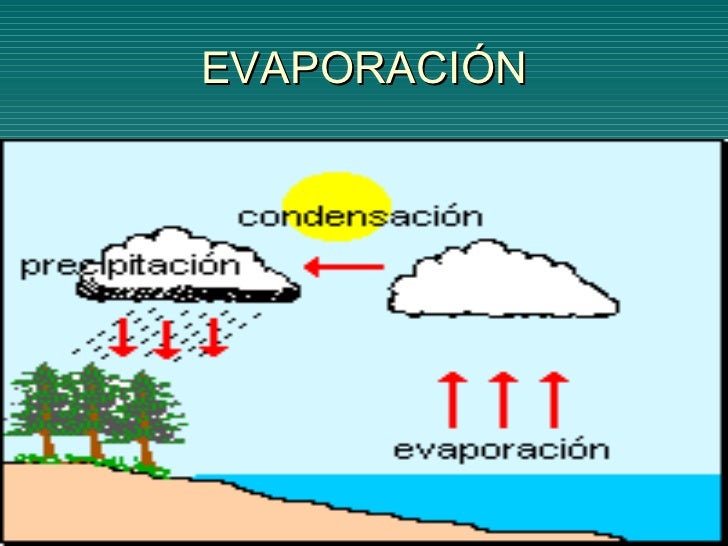 Nombres De Los Elementos Del Clima