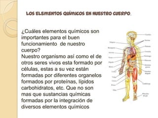 Los elementos químicos en el cuerpo humano | PPTX