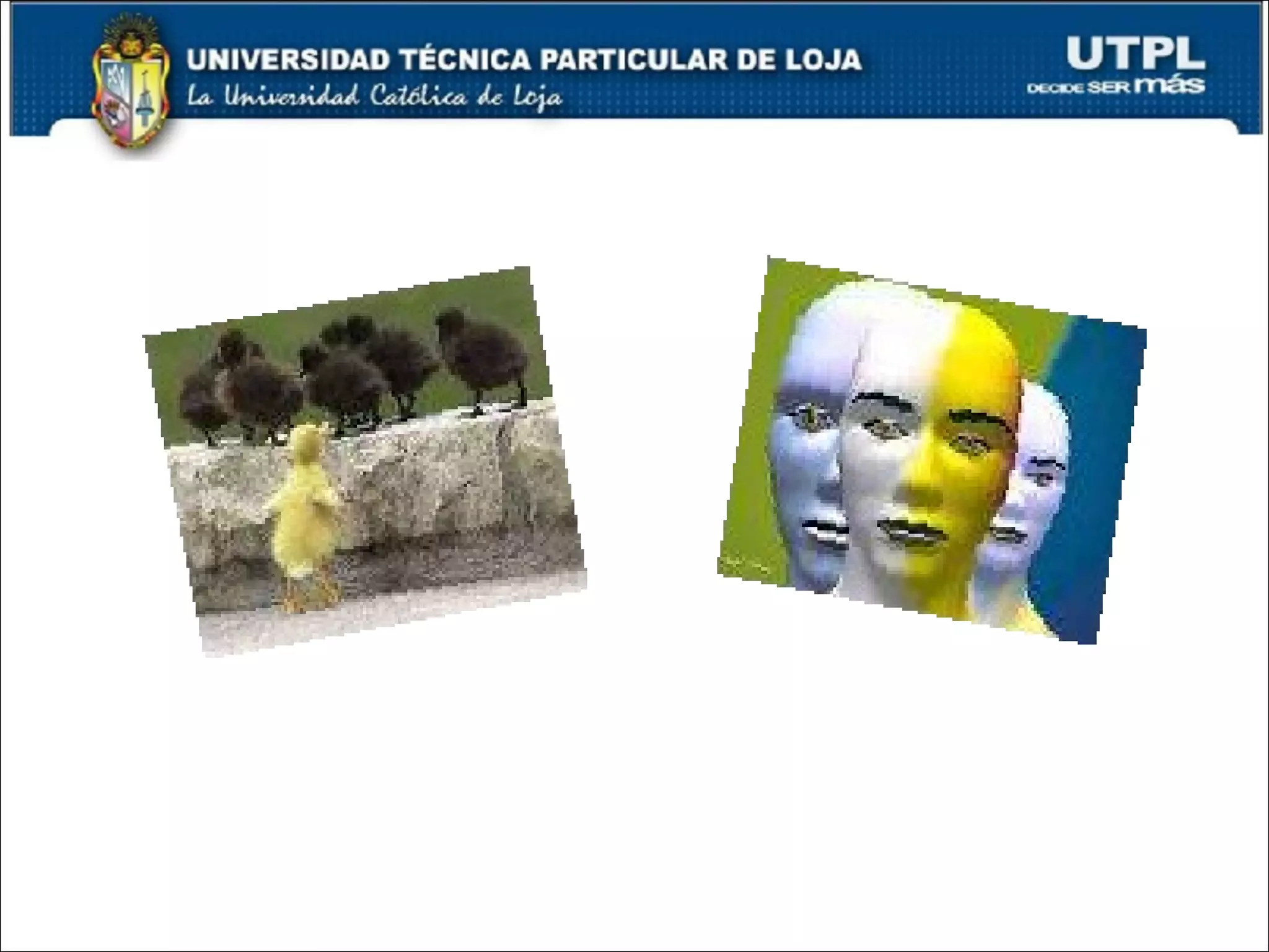 Los estereotipos,el prejuicio, y la discriminacion | PPT