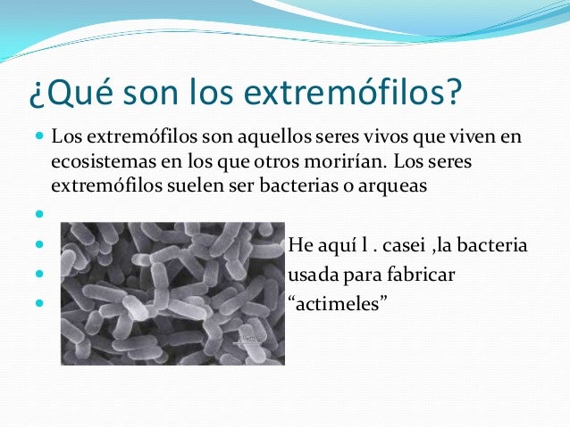 Diagrama De Extremofilos