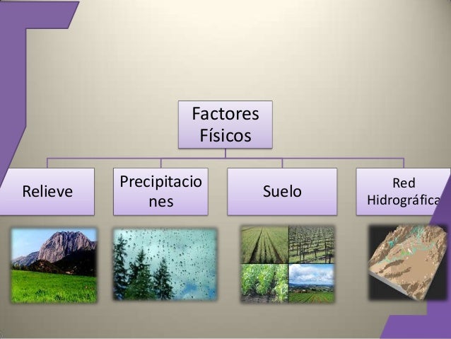 Los factores que inciden en el desarrollo socioeconómico