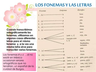 Los fonemas | PPTX