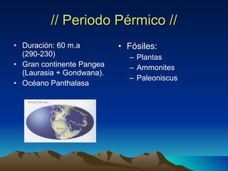 Los fosiles | PPT
