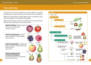 Los frutos[1] | PDF