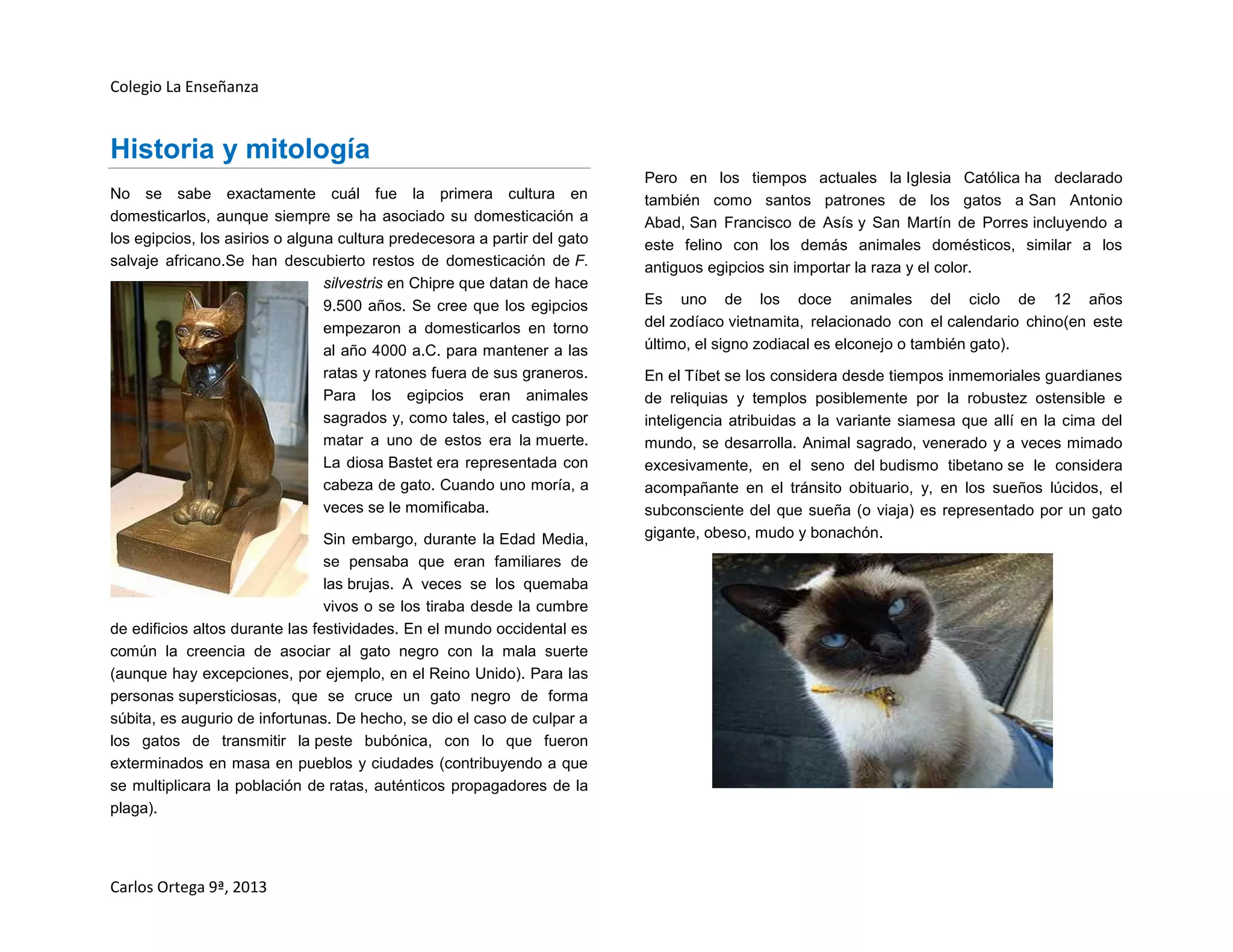 Los gatos carlos ortega | PPT