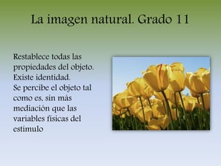 Los grados de iconicidad | PPTX