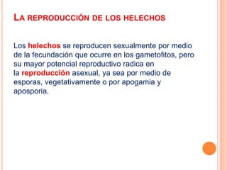 LOS HELECHOS.pptx